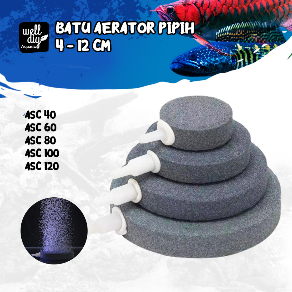 Jual Batu Aerator Aquarium Bulat Pipih Airstone 4 6 8 10 12 15 cm Fish ...