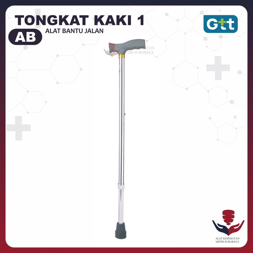 Jual GTT AB Tongkat Kaki 1 Alat Bantu Jalan Walking Stick Satu Orang ...