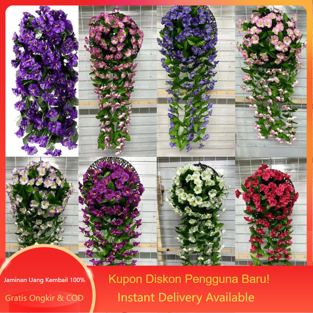 Jual Tanaman Anggur Bunga Morning Glory Gantung Buatan Bunga Petunia ...