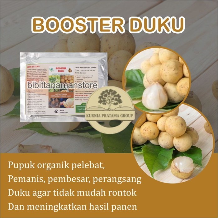 Jual Pupuk Organik Pelebat Buah dan Booster Duku Cepat Berbuah Lebat | Shopee Indonesia