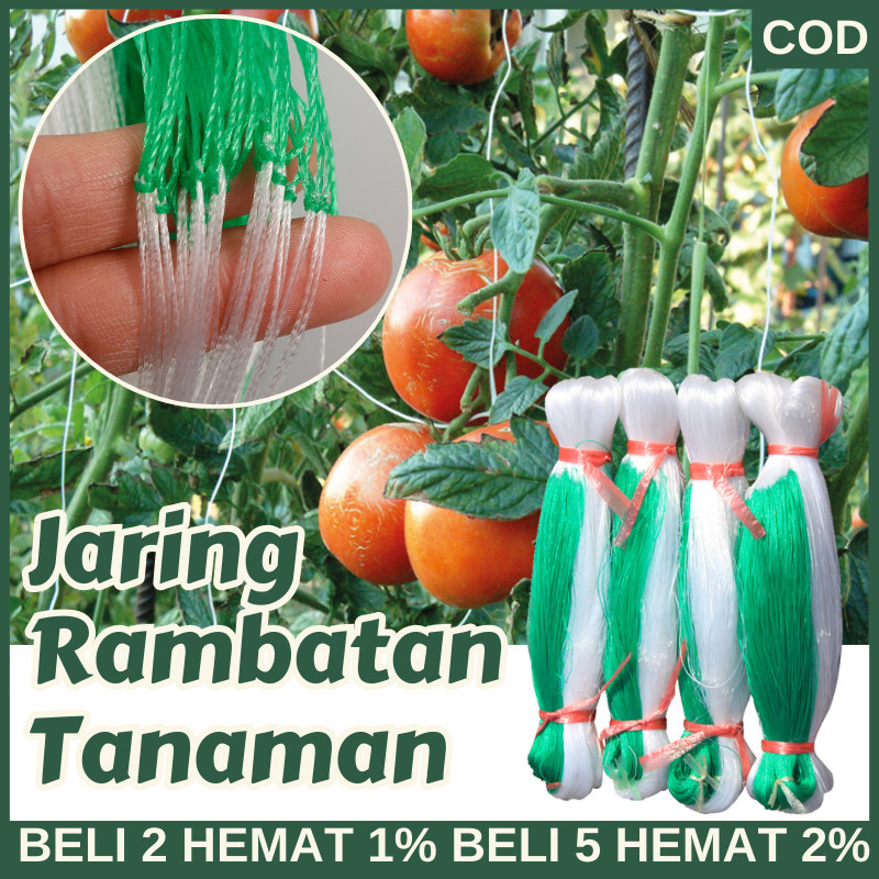 Jual LYTTE Jaring Tanaman Rambatan 100M X 2M Jaring Merambat Kuat Buah Anggur Sayuran Plant ...