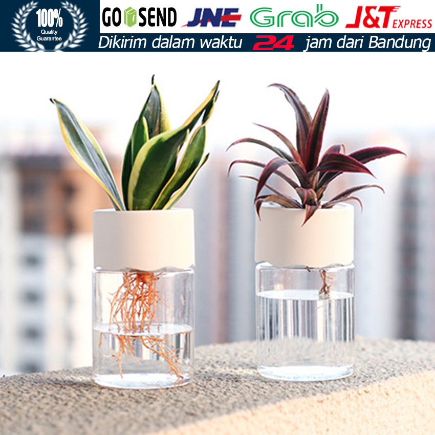 Jual Pot Bunga Plastik Dua Lapisan Transparan / Vas Hidroponik Self ...