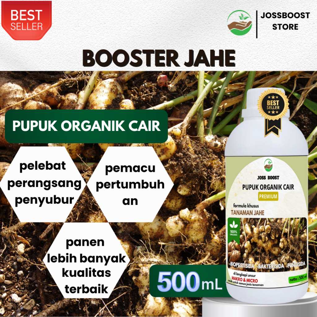 Jual pupuk Booster tanaman Jahe 500ML / Pupuk Pelebat Tanaman Jahe ...