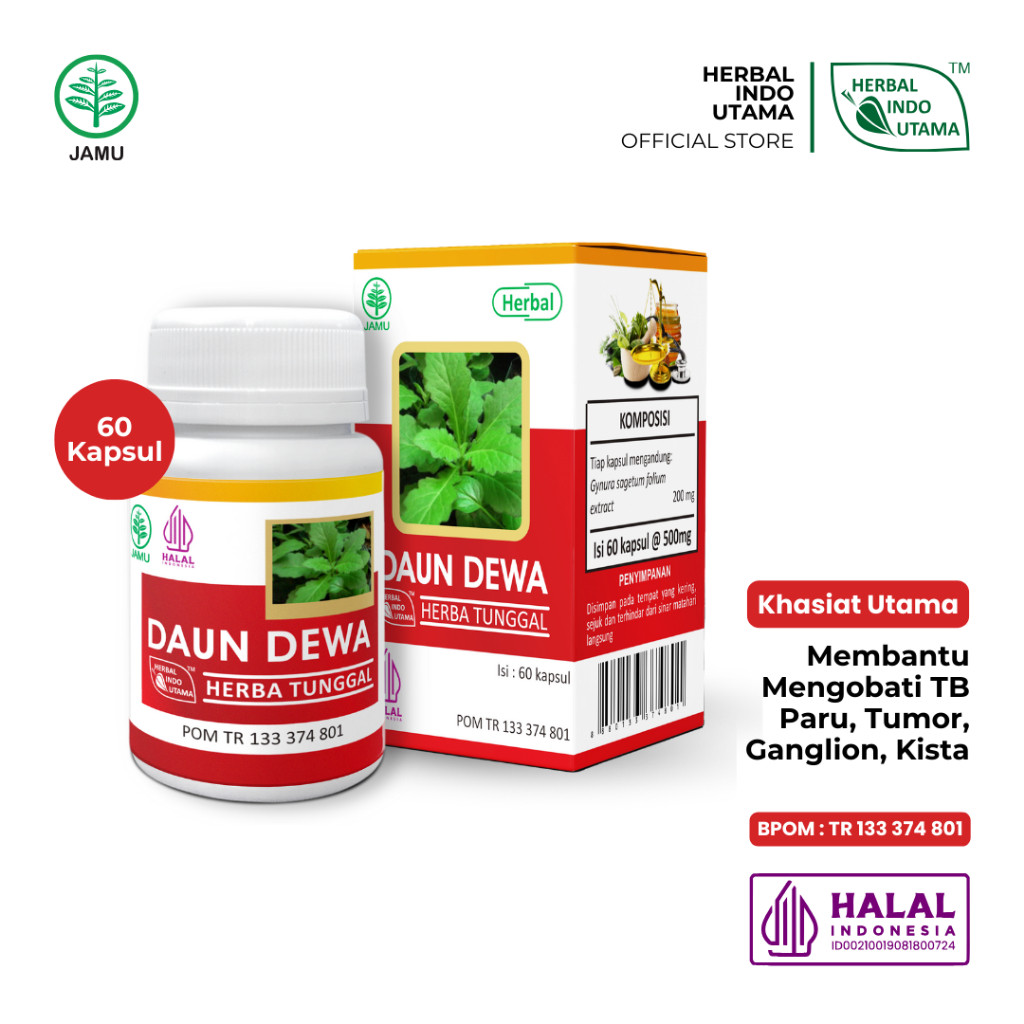Jual Kapsul Daun Dewa Obat Diabetes TB Paru Tumor Kanker Herbal Indo ...