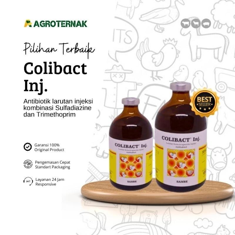 Jual COLIBACT Inj. Sanbe Obat Antibiotik Diare Pencernaan & Pernafasan ...