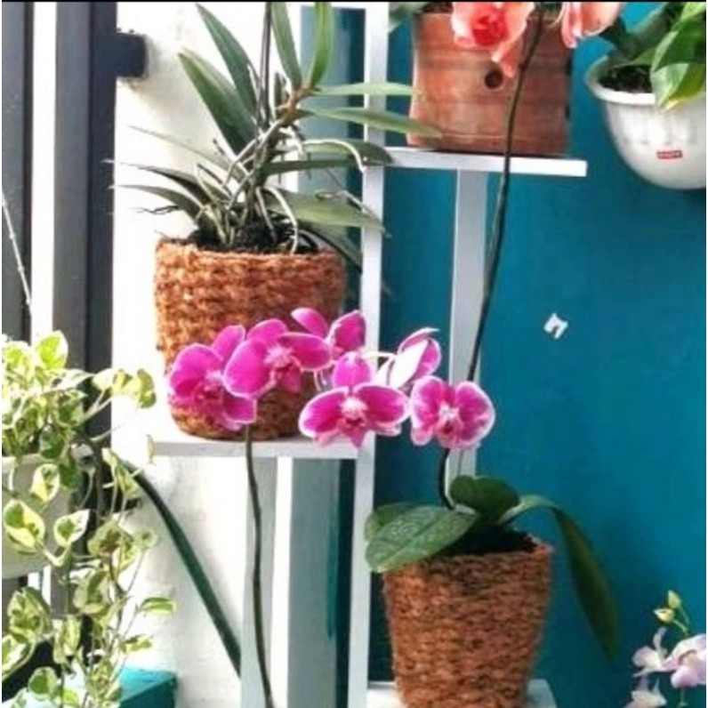 Jual pot bunga anggrek gantung serabut kelapa anyaman murah (Galery ...