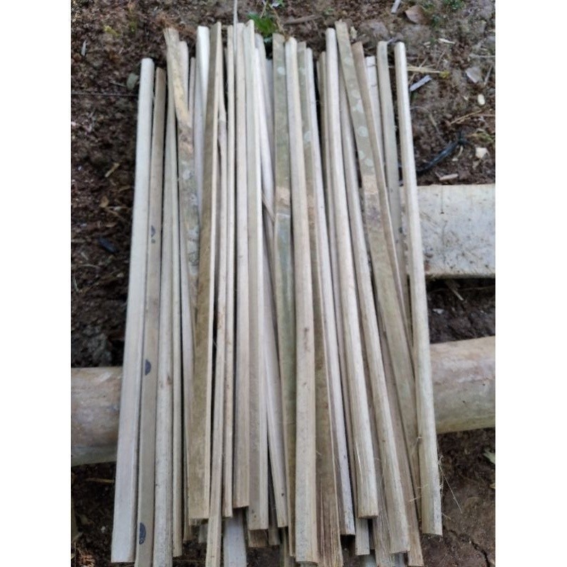Jual New Promo BAMBU BILAH/BAMBU AJIR/PENYNAGGA TANAMAN UKURAN 50 CM ...