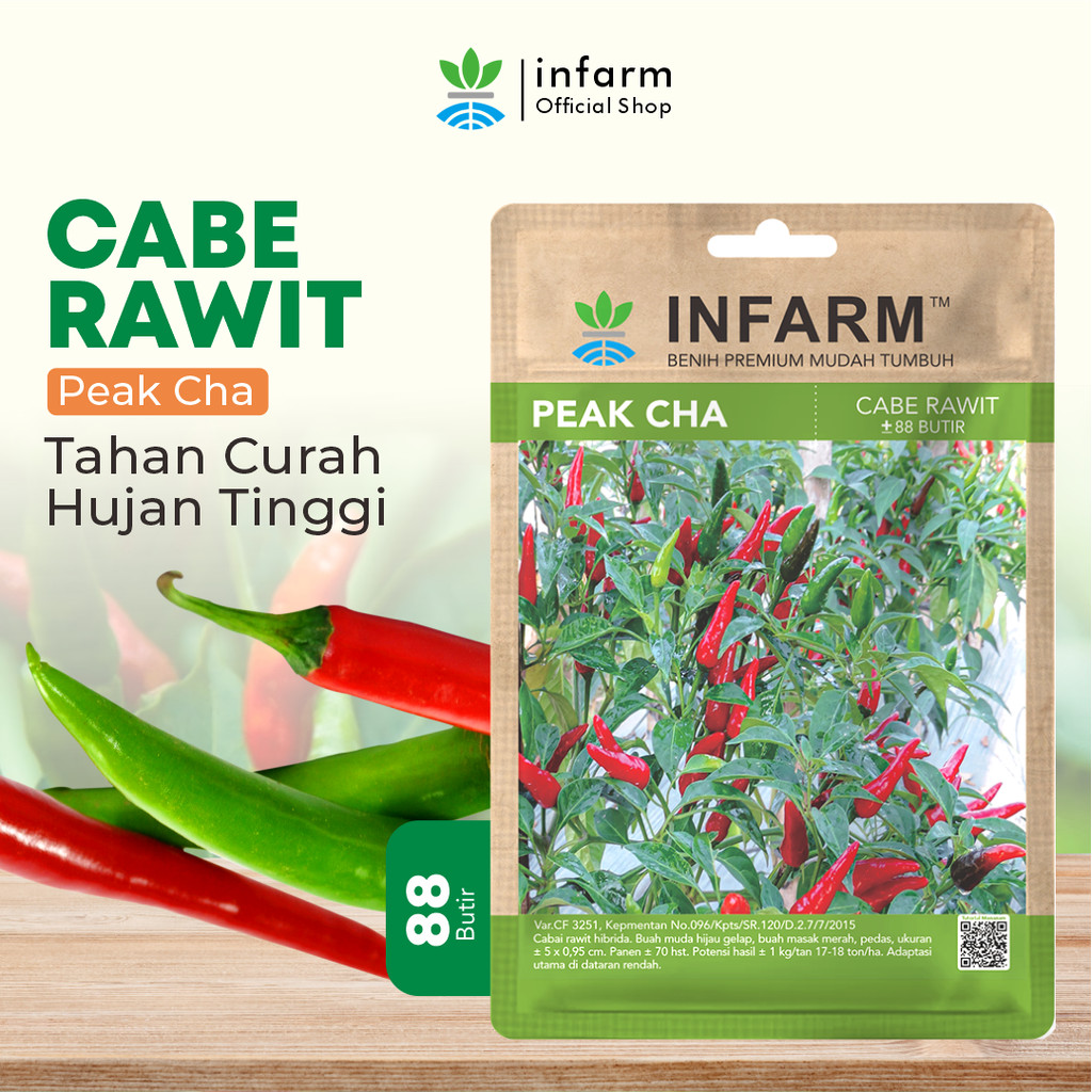 Jual Bibit Cabe Rawit Merah Peak Cha Benih Bibit Cabe Rawit Benih Cabe ...