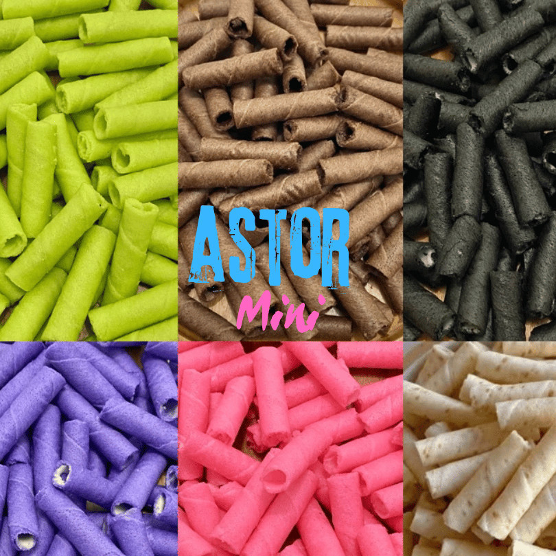 Jual PROMO! astor barselona astor wafer stick astor berrygood wafer ...