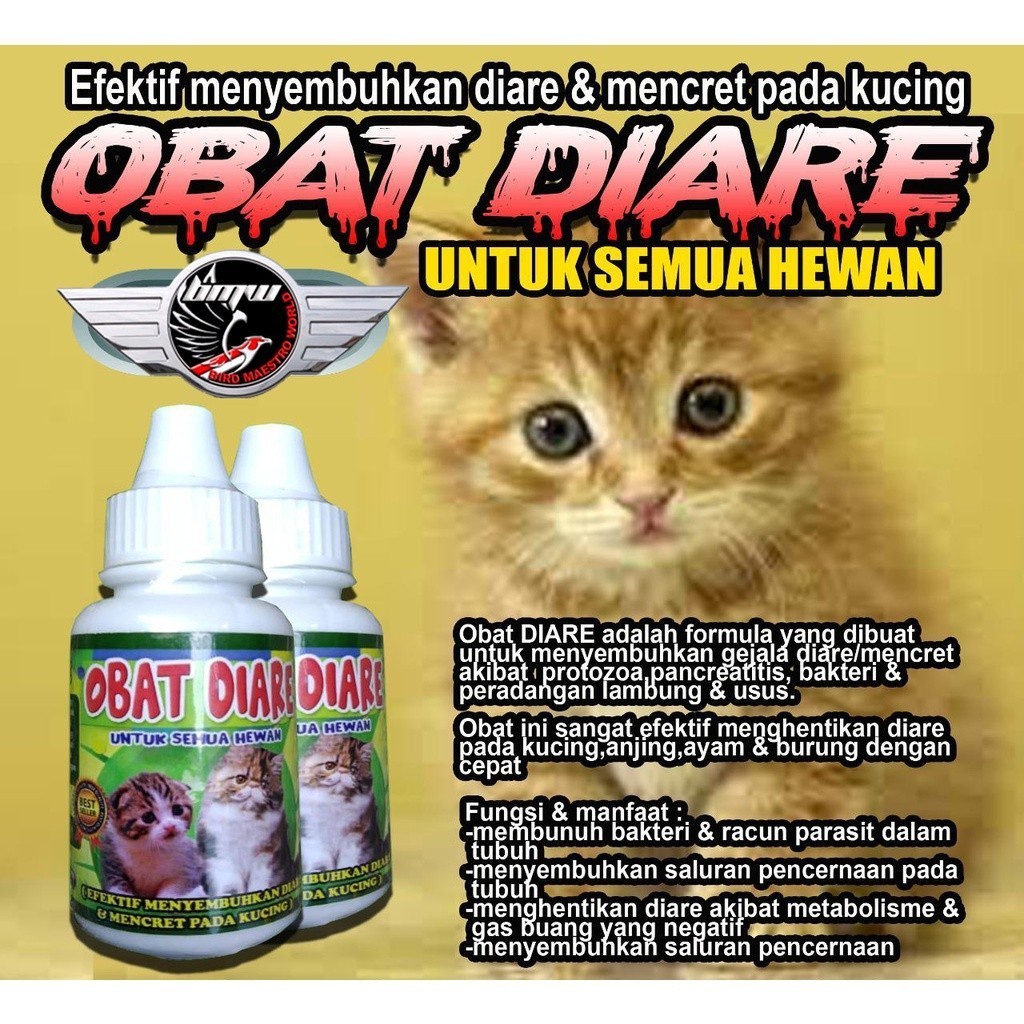 Jual BMW Obat Diare Dan Mencret Pada Kucing yang sedang sakit | Shopee ...