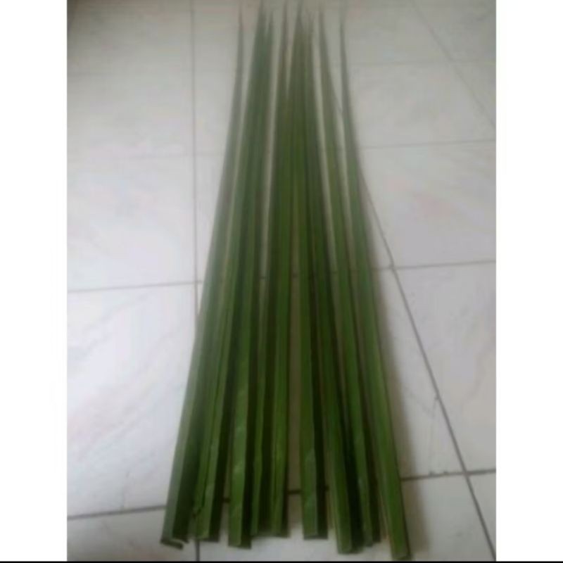 Jual jual daun kelapa hijau janur/30pcs | Shopee Indonesia