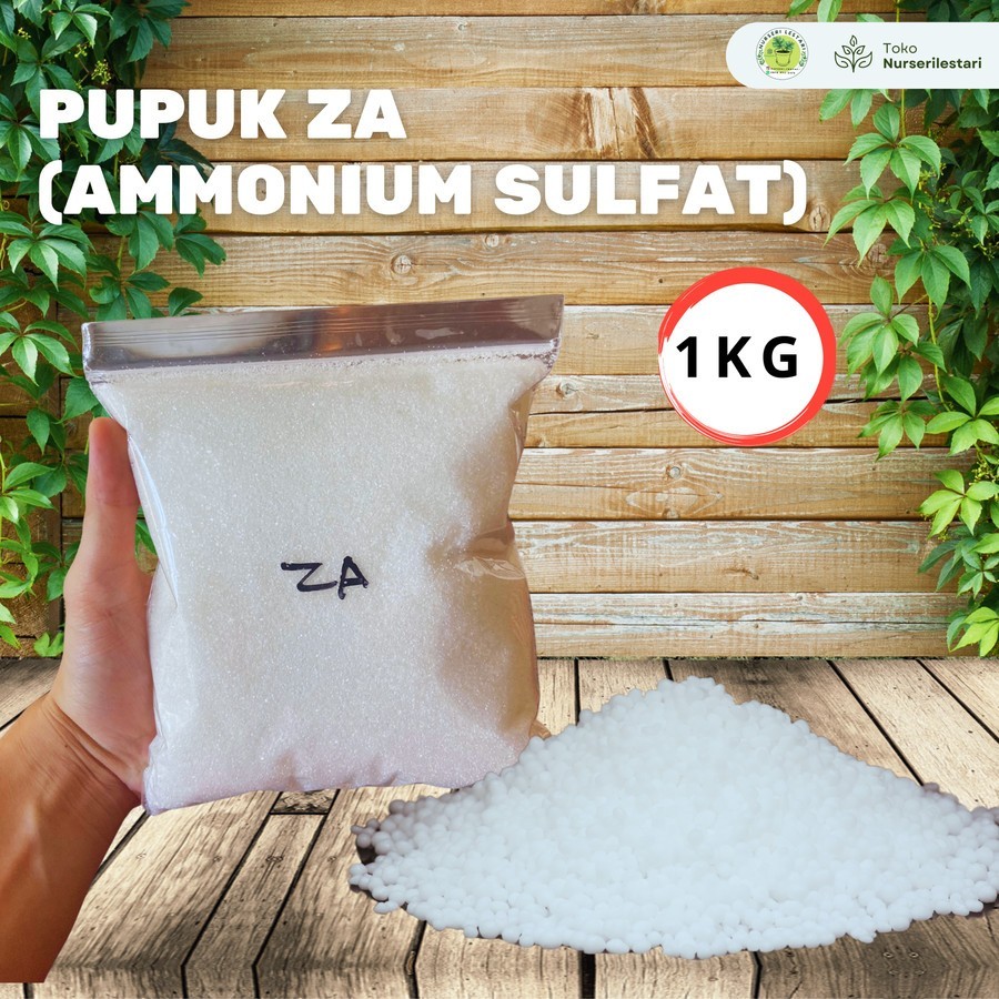 Jual Pupuk ZA Ammonium Sulfat (1KG) | Shopee Indonesia