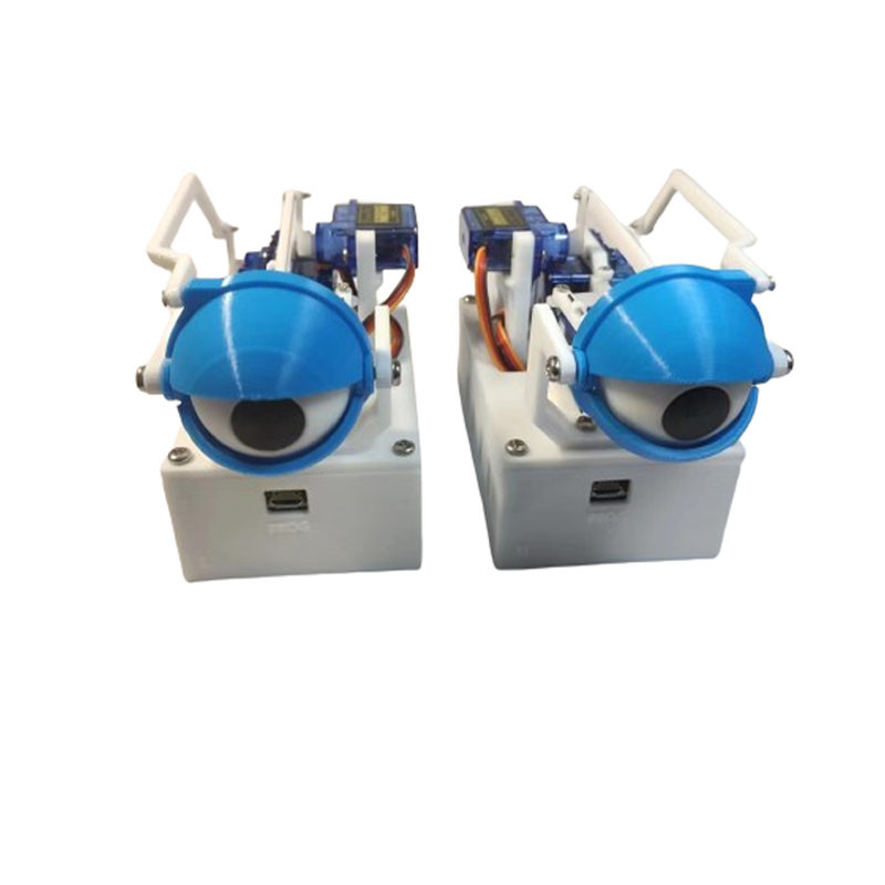 Jual Web/APP Control SG90 Left and Right Robotic Bionic Eyes for ...