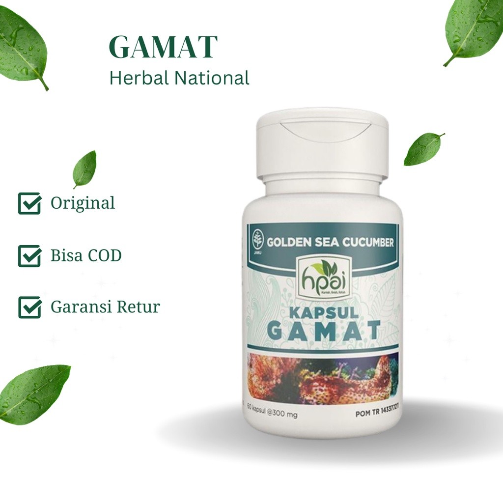 Jual GAMAT KAPSUL Ekstrak Teripang Emas Untuk Nyeri Sendi - HNI BPOM ...