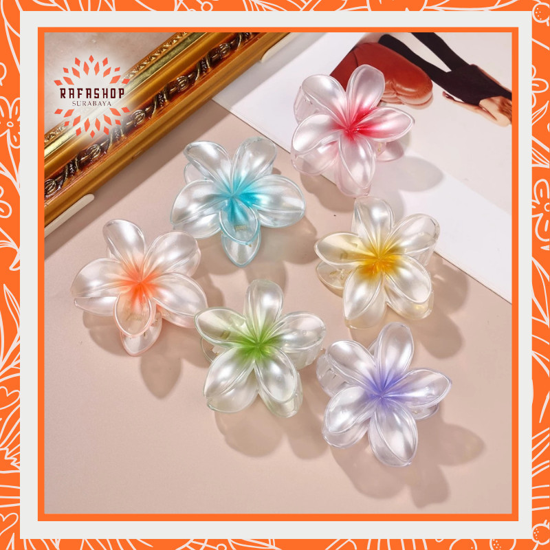 Jual ACC122 Jepit Rambut Bunga Kamboja GLOSSY Jepitan Rambut Cantik ...