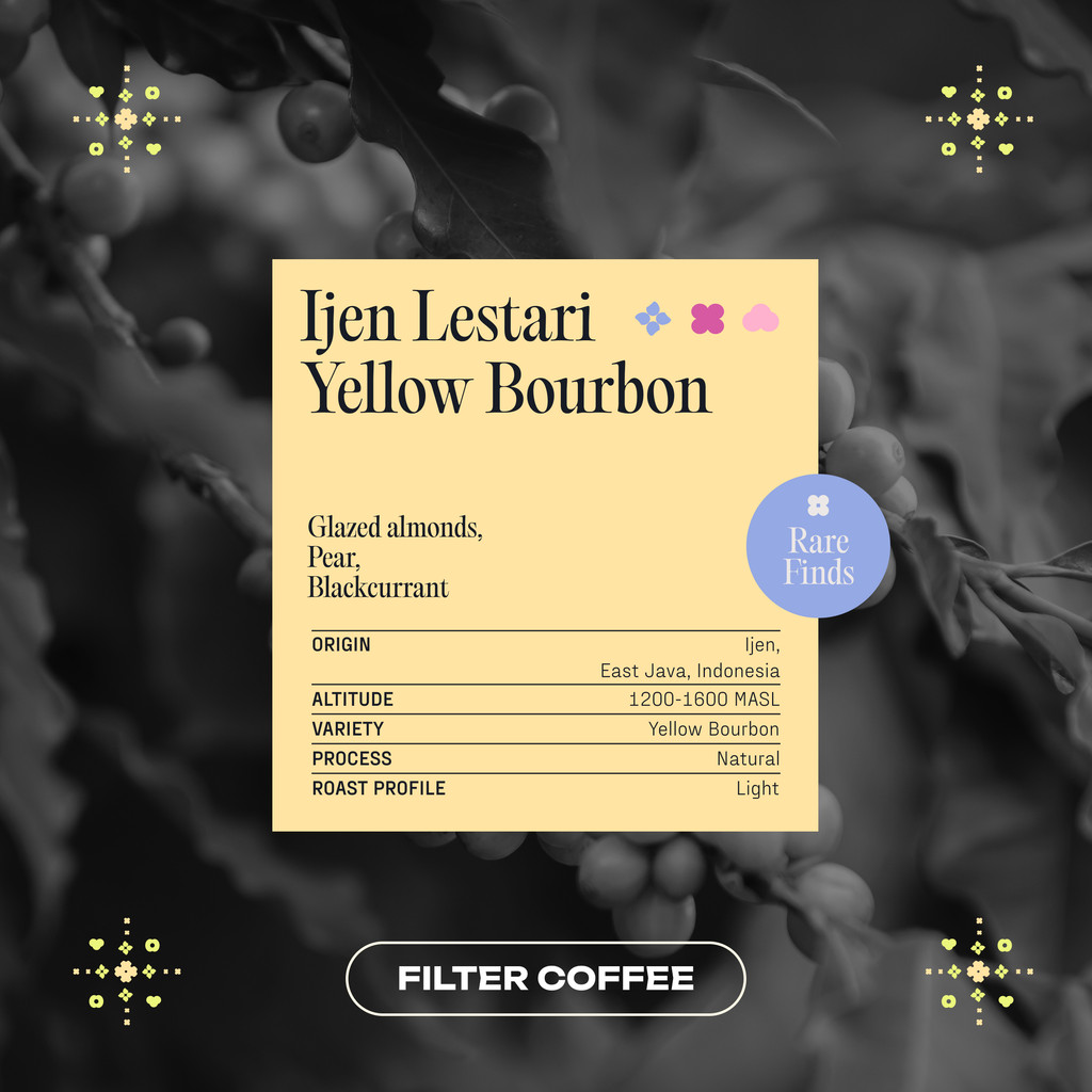 Jual KORO ROASTERS Arabica Ijen Lestari Yellow Bourbon Biji Kopi - Filter Roast - Specialty ...
