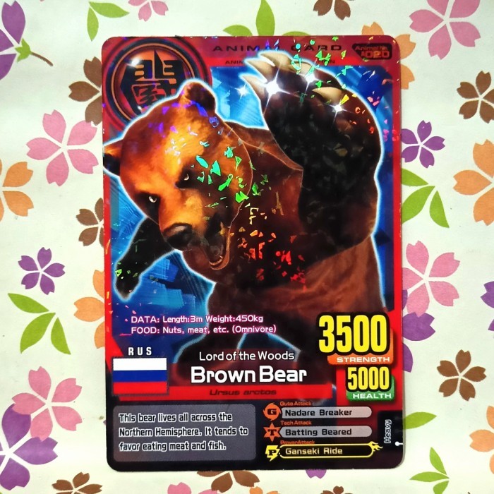Jual Animal kaiser normal brown bear evo 2 - baru | Shopee Indonesia
