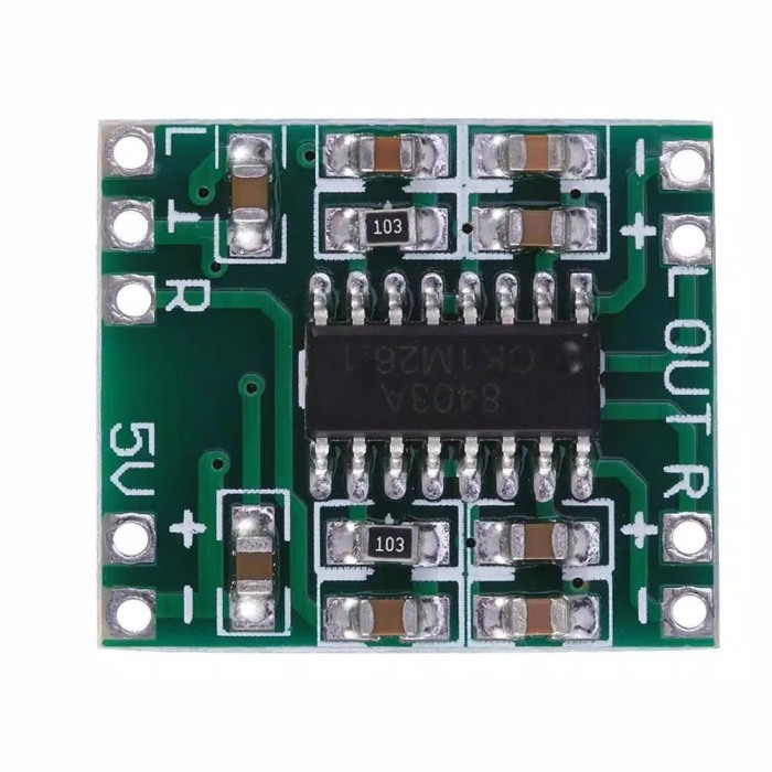 Jual PAM8403 5V Stereo Digital Amplifier Module | Shopee Indonesia
