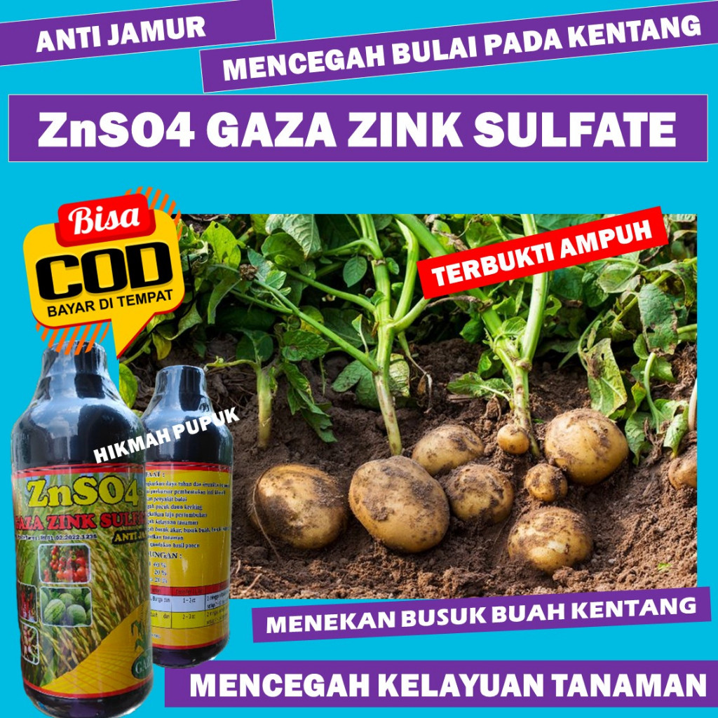Jual Pupuk Kentang ZnSO4 GAZA ZINK SULFATE Melebatkan Kentang ...