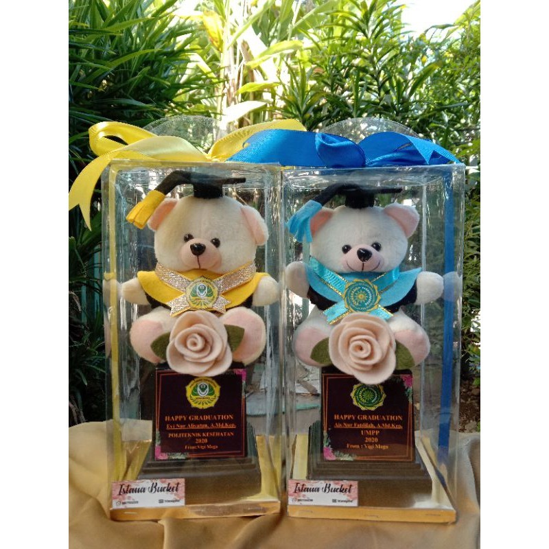 Jual BONEKA WISUDA PIALA BOX MIKA/Boneka bear wisuda+packing | Shopee ...