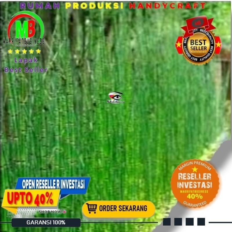 Jual MAKRIFATBUSINESS Paket 1 Pcs Batang Tanaman air LIDI AIR BAMBU AIR ...