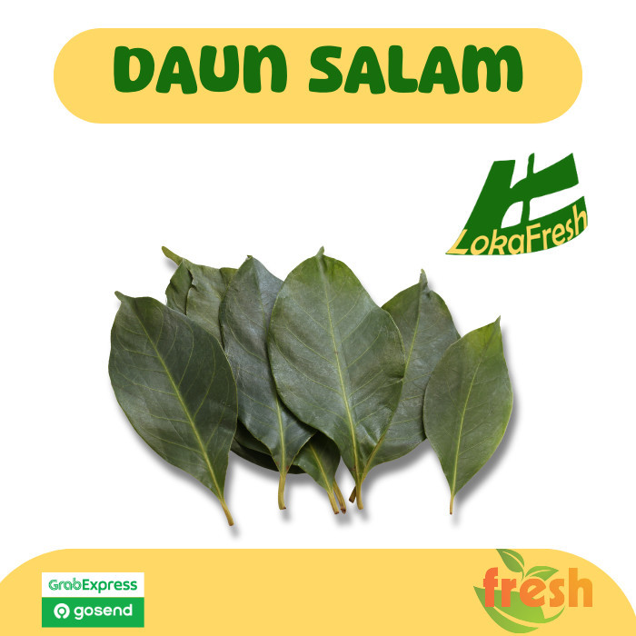 Jual Daun Salam/ Salam Leaves 100gram | Shopee Indonesia