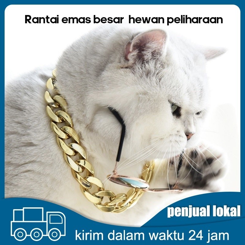 Jual kalung kucing rante besi anti karat mas dan silver lonceng besar ...