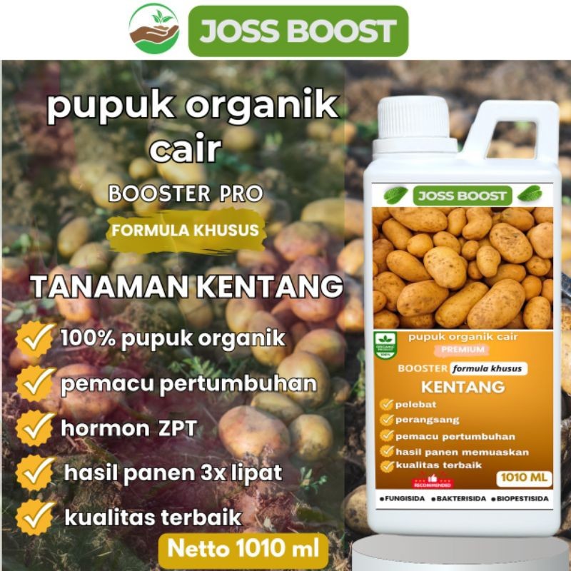 Jual Pupuk Organik Cair Booster KENTANG, POC JOSSBOOST Kentang, poc kompos organik Melebatkan ...