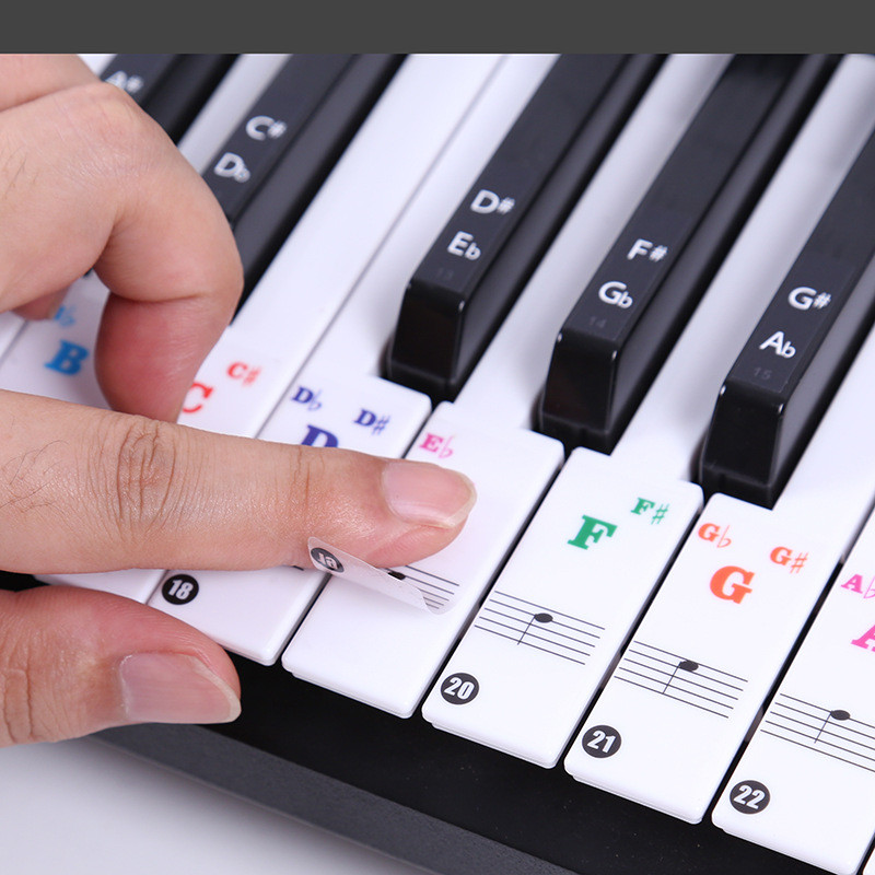 Jual Piano Keyboard Stickers 49/54/61/88 Key Detachable Music Decal ...
