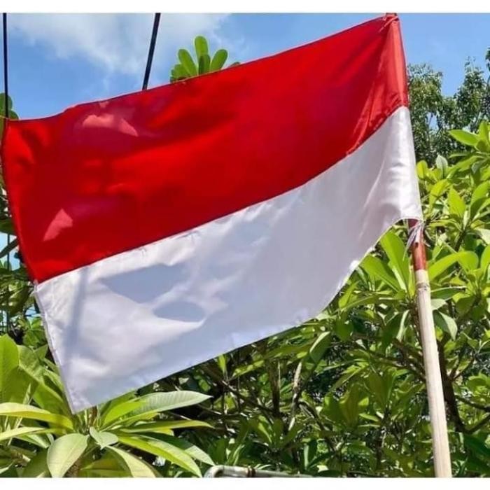 Jual BENDERA MERAH PUTIH UKURAN 90 X 60 CM BENDERA AGUSTUSAN | Shopee ...
