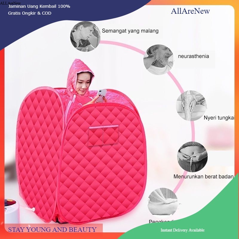 Jual [AllAreNew] 2.5L Sauna Steamer Portable Pot Mesin Spa terapi ...