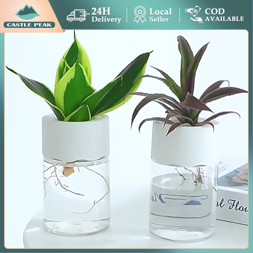 Jual Pot Bunga Plastik Dua Lapisan Transparan Vas Hidroponik Rumah Pot ...