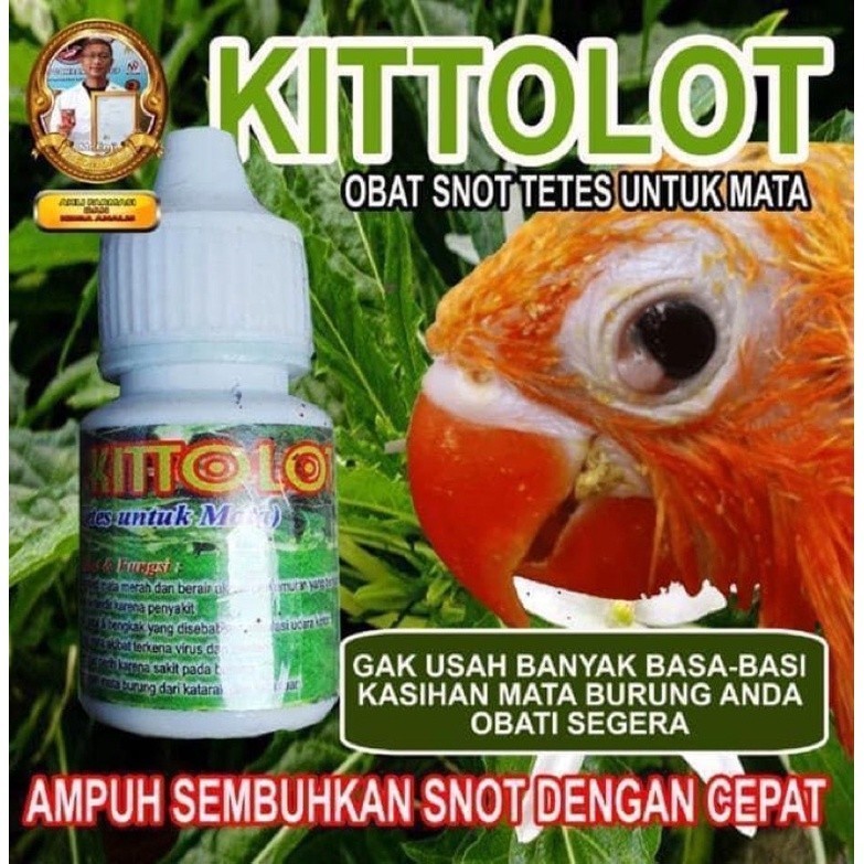 Jual BMW Daun Kitolot 10ml Obat mata katarak obat snot pada burung Mata ...