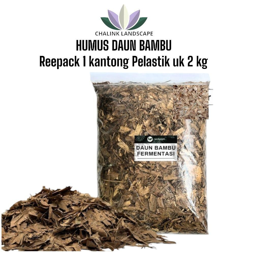 Jual Media Tanam Humus Daun Bambu Fermentasi / Humus Daun Bambu / Pupuk ...