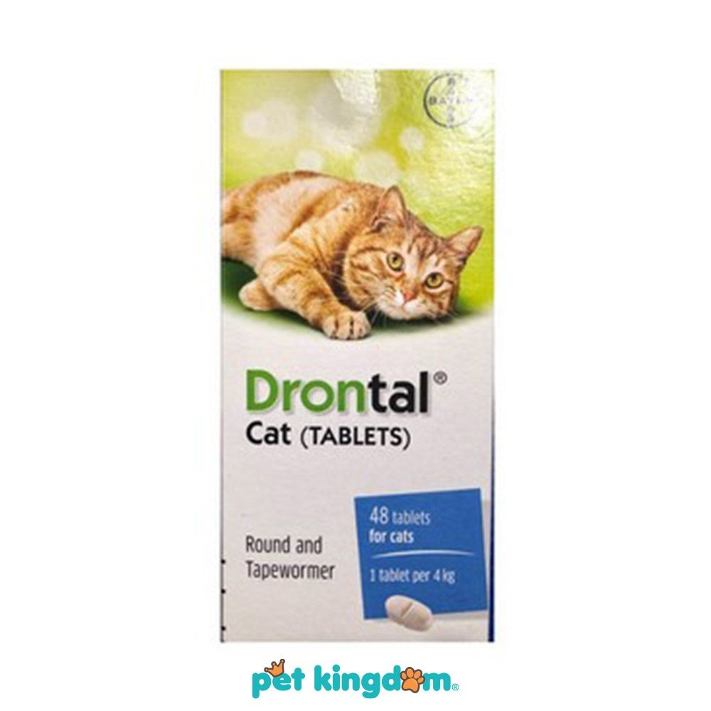 Jual Elanco Drontal Obat Cacing Kucing Tablet Cat Worm Medicine ...