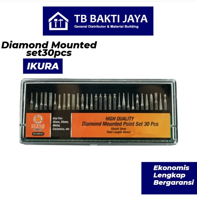Jual Ikura Diamond Mounted Pointer Set 30 Pcs / Mata Ukir Mini Die ...