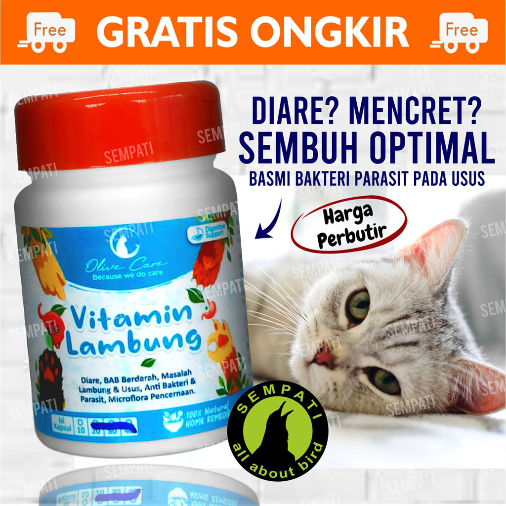 Jual SEMPATI Olive Care Blue Import USA Obat Pencernaan Kucing Sakit ...