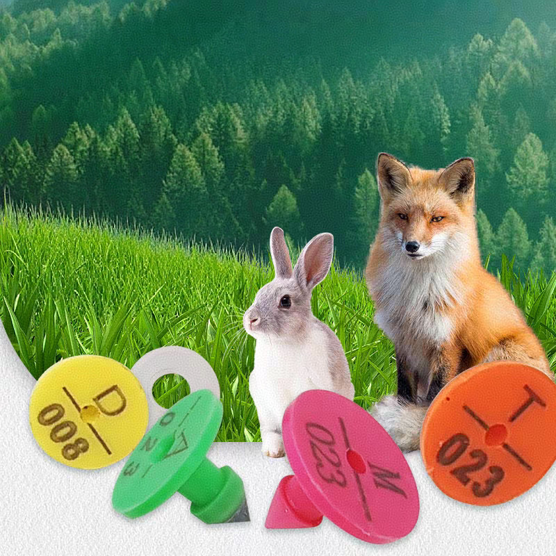 Jual 100Pcs Animal Identification Card Rabbit Ear Tag Sign with No.001 ...