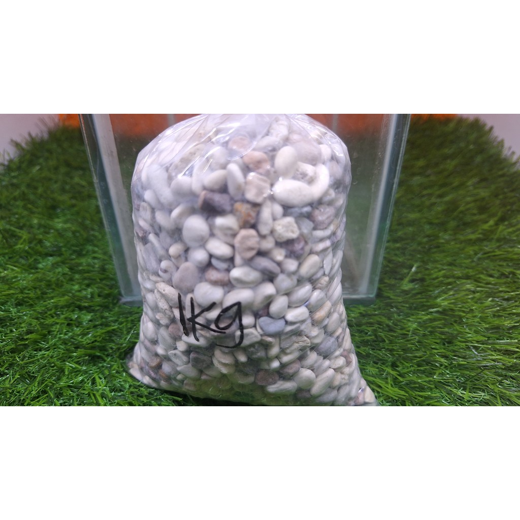 Jual Batu Panca Warna Pancawarna Koral Kerikil Hias Taman Aquarium Aquascape 1 Kg | Shopee Indonesia
