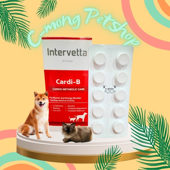 Jual Intervetta Cardi B Suplemen Jantung Cardiac Kucing Anjing (1 ...