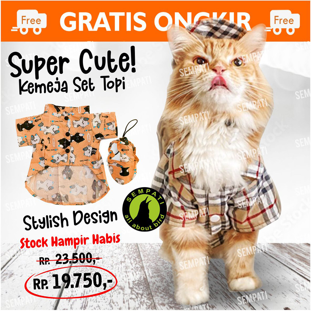 Jual SEMPATI Baju Kemeja Kucing Plus Topi Cat Clothes Shirt Bundle ...
