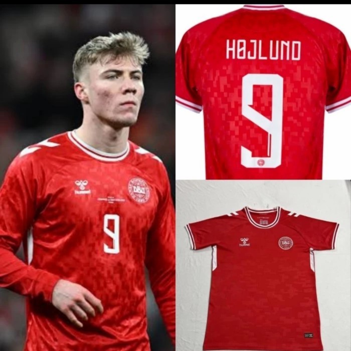 Jual JERSEY BAJU BOLA DENMARK HOME 2024 + NAMESET GRADE ORI | Shopee ...