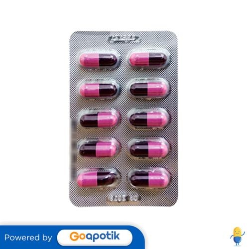 Jual Vostrin 300 Mg Strip 10 Kapsul | Shopee Indonesia