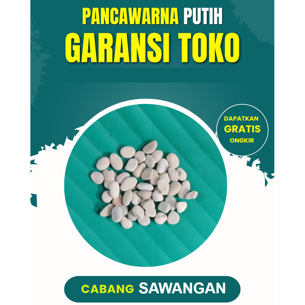 Jual Batu Hias Aquascape Koral Pancawarna Coral Putih | Shopee Indonesia