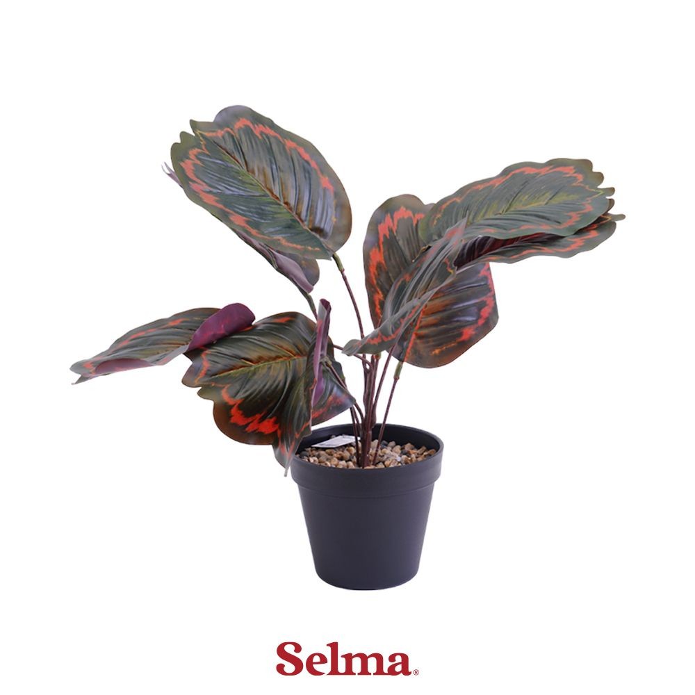 Jual Selma 42 cm Bunga Artifisial Kalatea Dengan Pot - Hijau Artificial ...