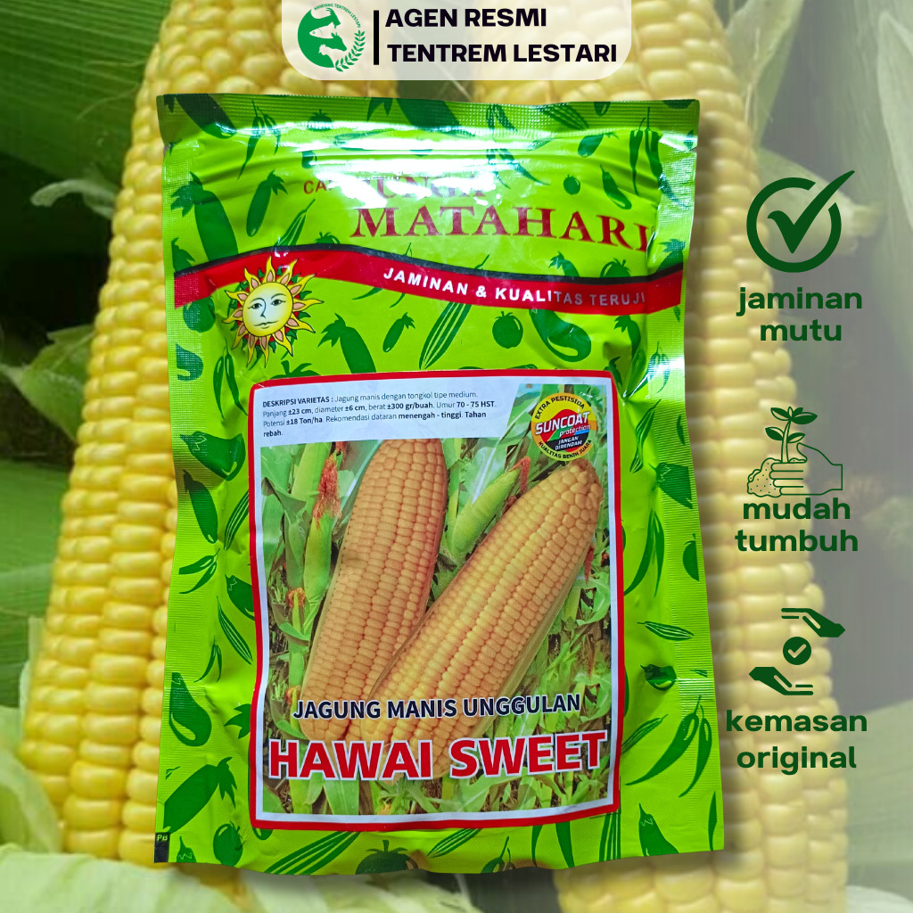 Jual Benih Jagung Manis HAWAI SWEET 250 Gram Cap Bunga Matahari Unggul #Shopee KTL | Shopee ...