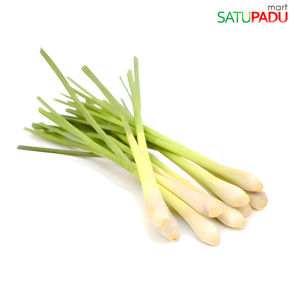 Jual satupadu mart - Batang Serai Segar / Sereh Segar Per Batang Rempah ...