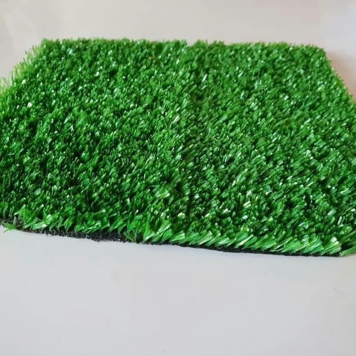 Jual Karpet Rumput Palsu - Artificial Grass - Sintetis | Shopee Indonesia