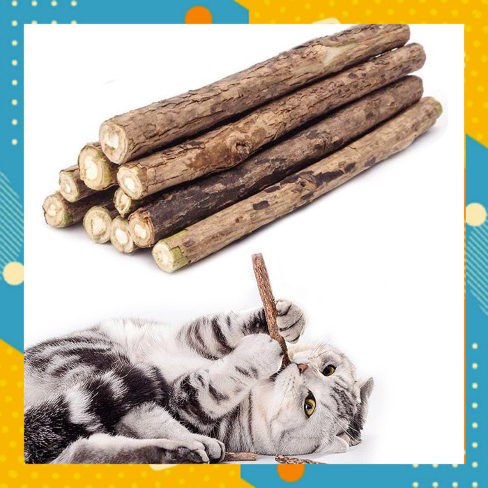 Jual Catnip STICK Cat Nip Batang Gigitan Mainan Kucing Cat Kitten ...