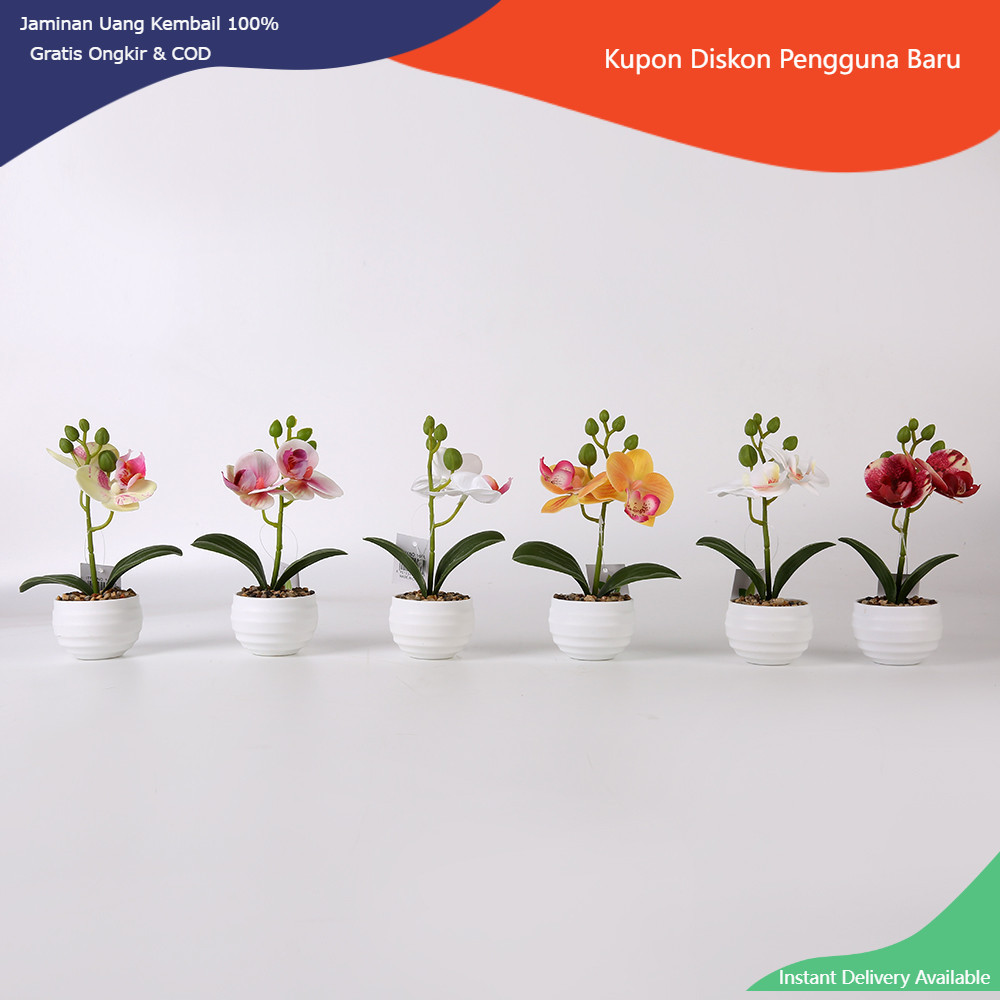 Jual Bunga Anggrek Hias Phalaenopsis Dengan Pot Bulat Artificial Bunga ...